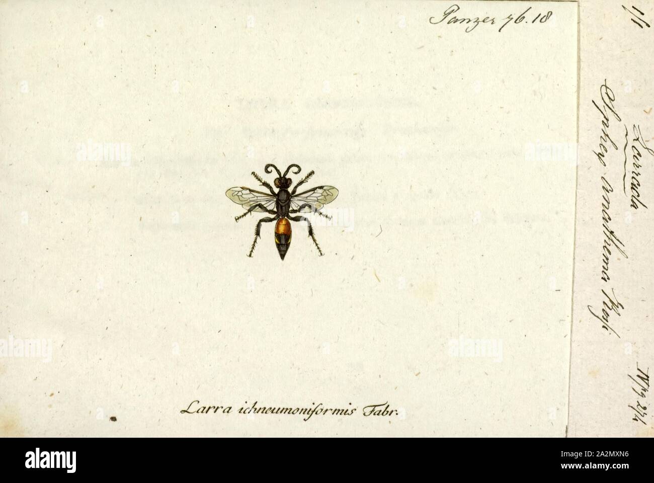 Larrada hi-res stock photography and images - Alamy