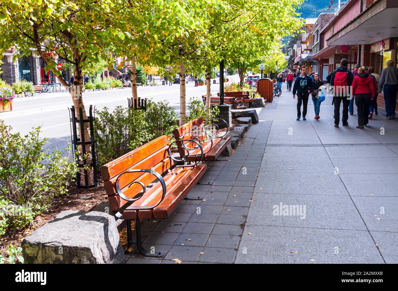 Wooden benches and trees lining the sidewalk with people walking along ...