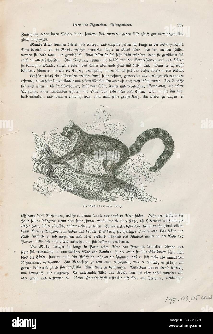 100 existing species hi-res stock photography and images - Alamy