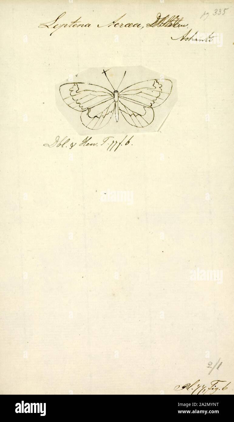 Liptena, Print, Liptena is a genus of butterfly in the family ...