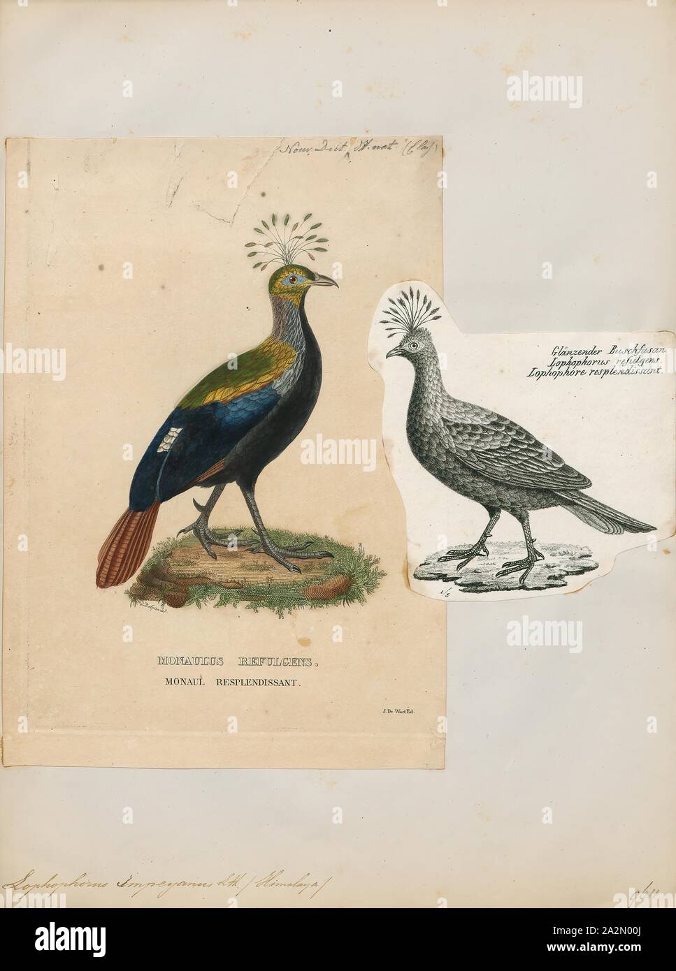 Chief justice of india hi-res stock photography and images - Alamy