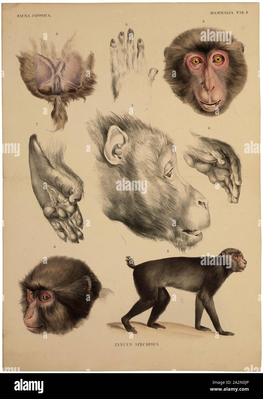 Into details Cut Out Stock Images & Pictures - Alamy