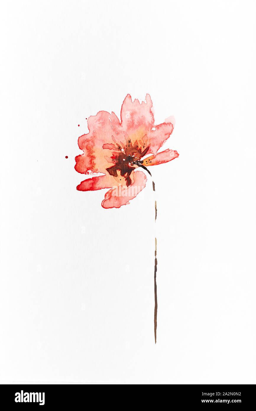 Hand drawn red poppy Cut Out Stock Images & Pictures - Alamy