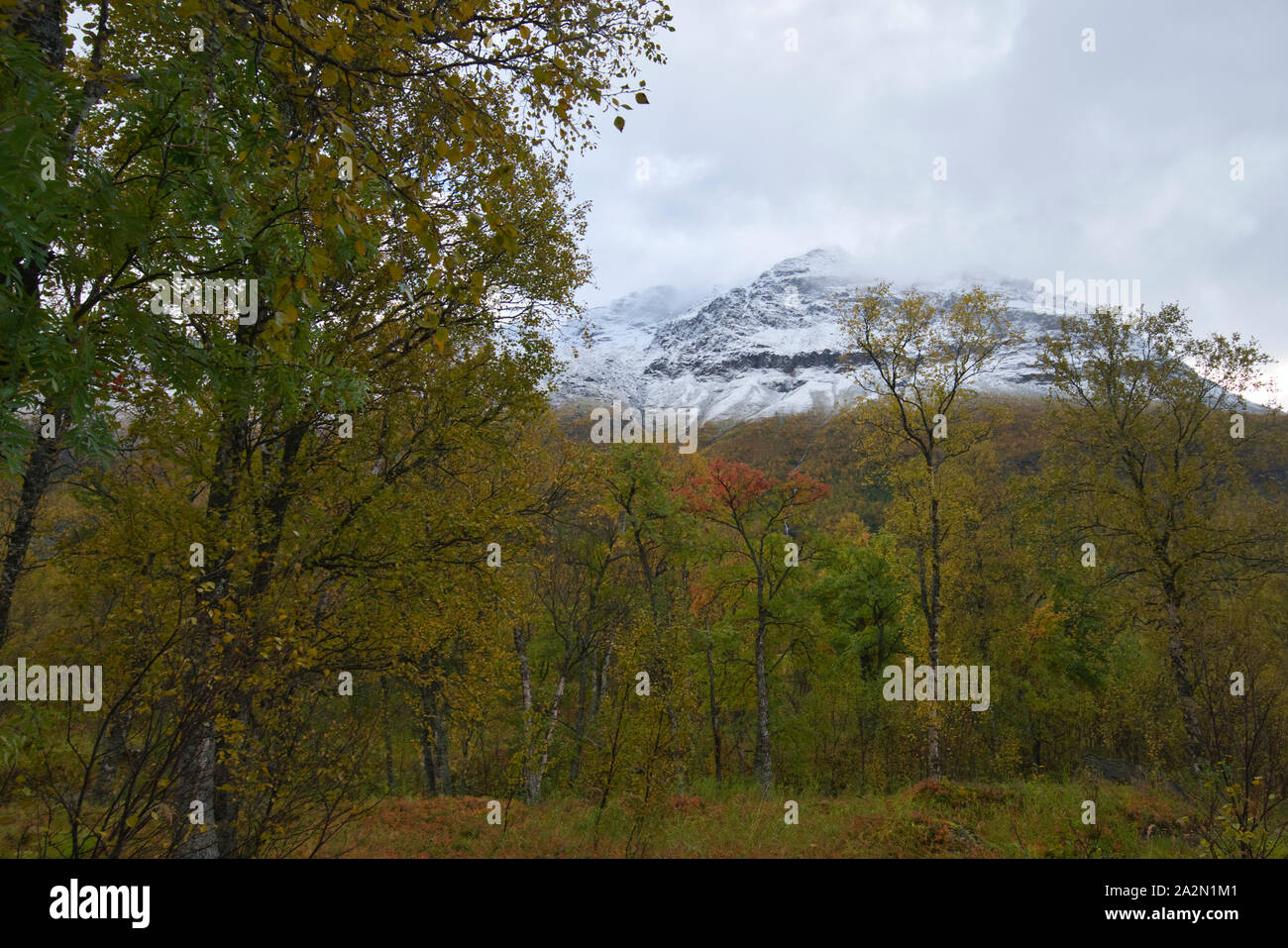 Mountain in Signaldalen valley, Storfjord, Troms, Norway Stock Photo ...
