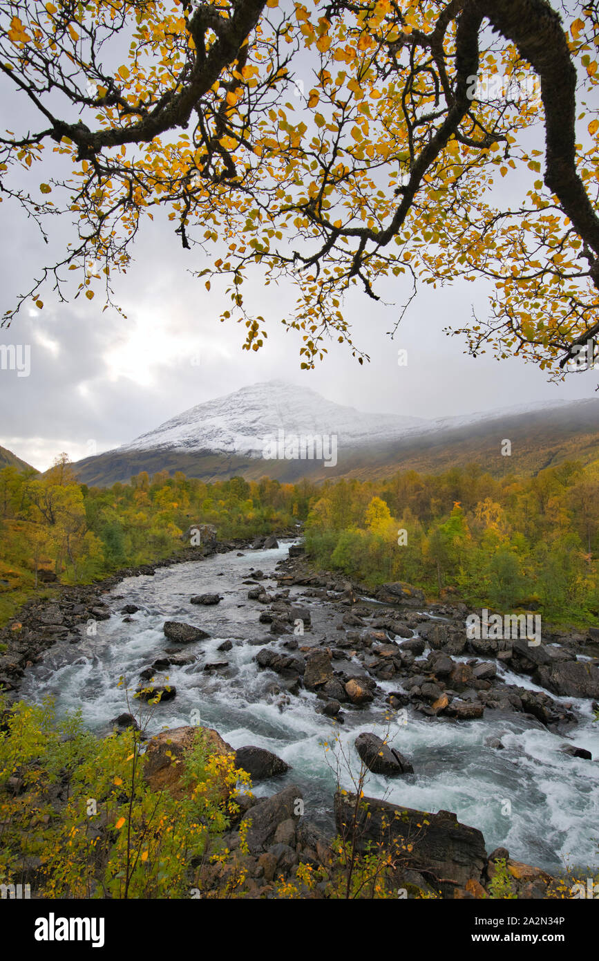 Signaldalen valley, Troms county, Norway Stock Photo - Alamy