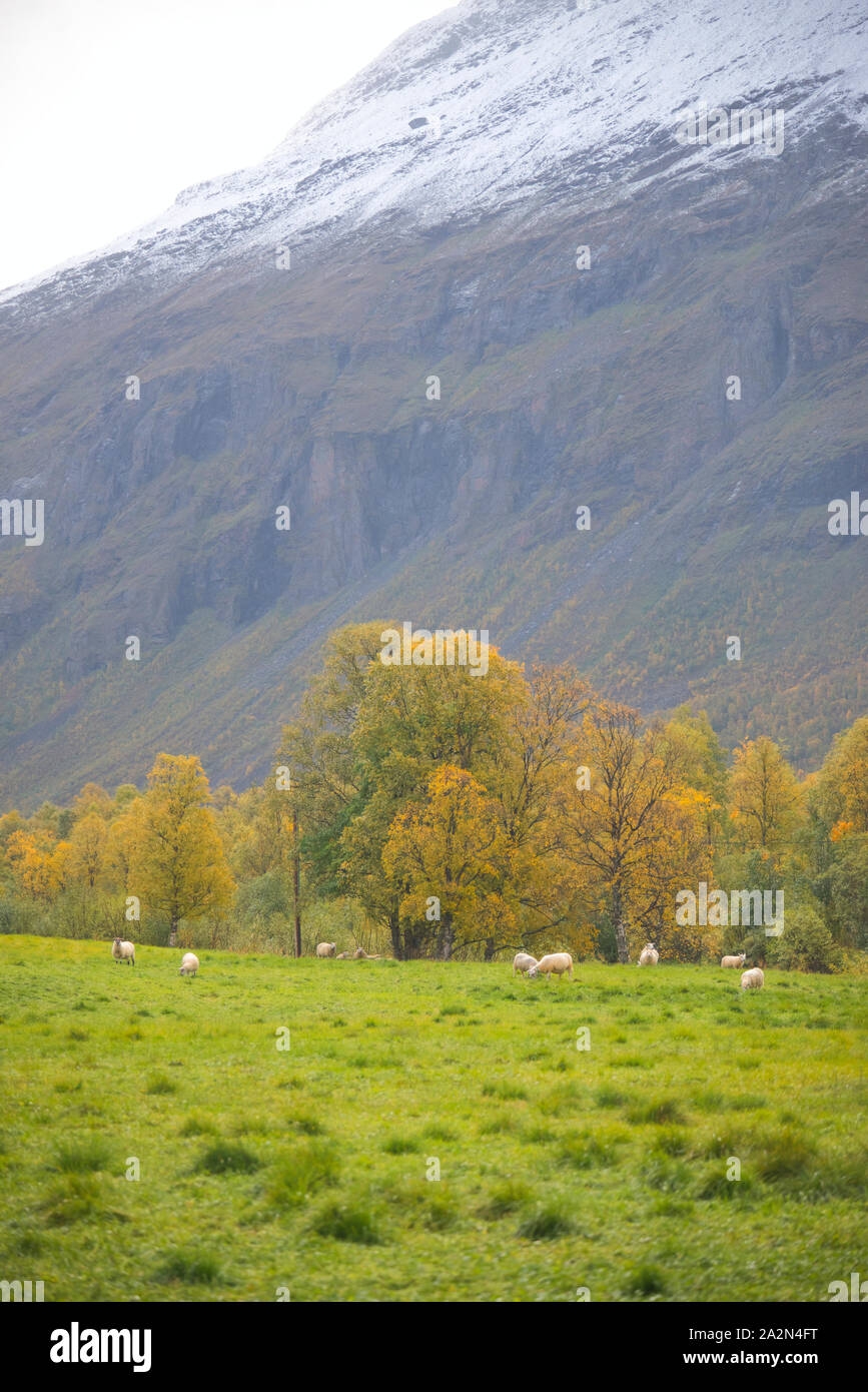 Signaldalen valley hi-res stock photography and images - Alamy