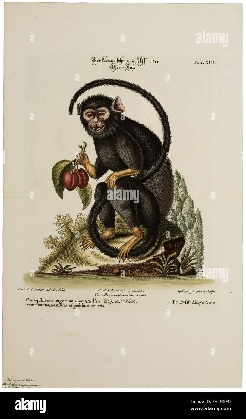 Midas Cut Out Stock Images & Pictures - Alamy