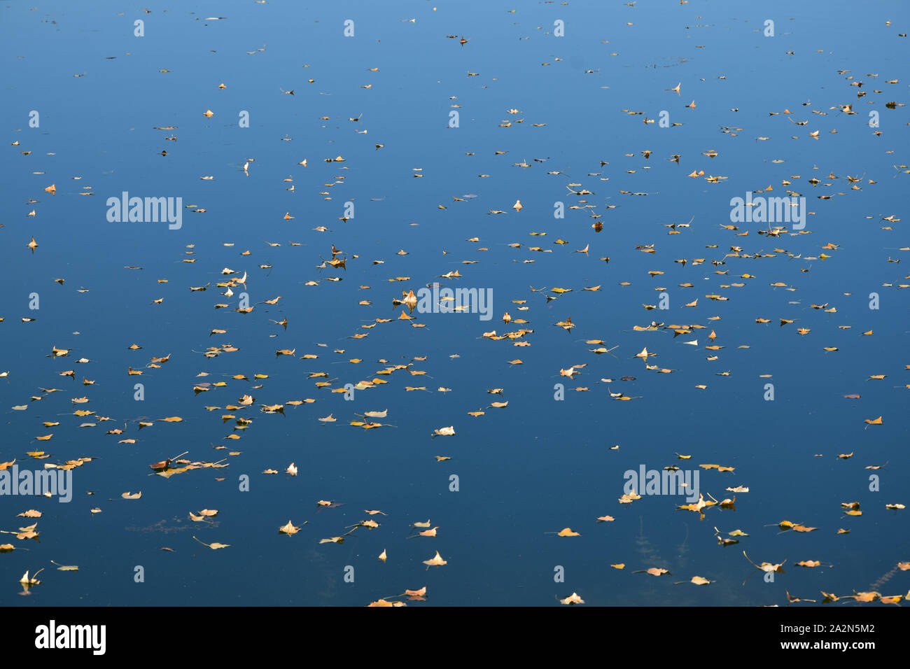 Floating in a lake hi-res stock photography and images - Alamy