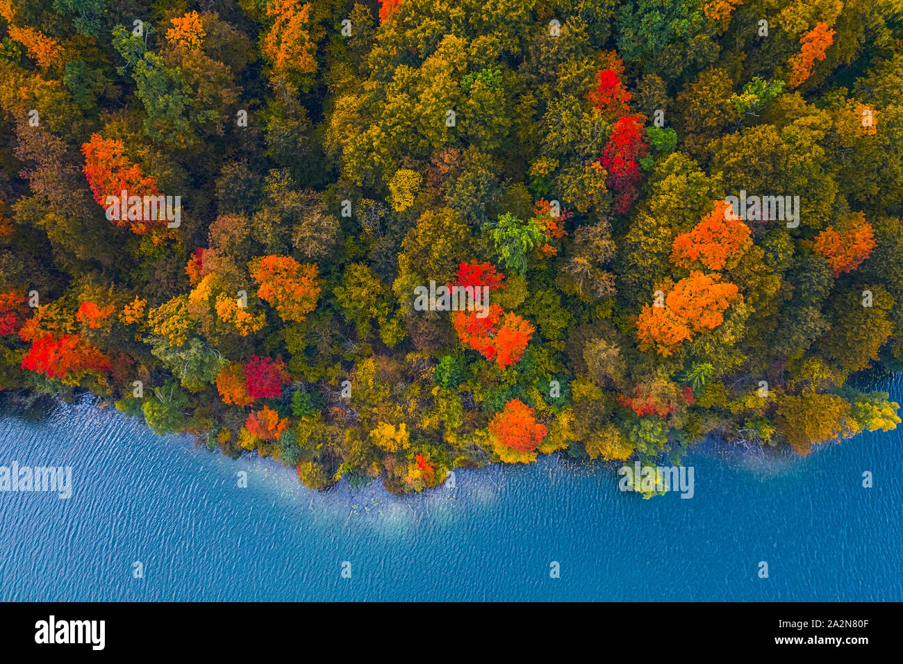 Aerial Drone view of colorful top of the forest at Autumn Stock Photo ...