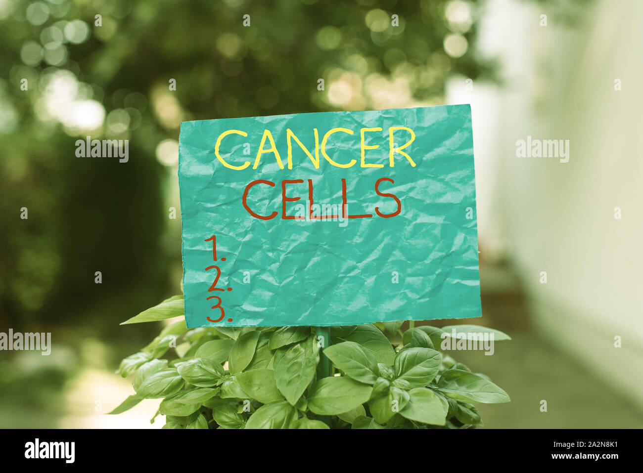 Conceptual hand writing showing Cancer Cells. Concept meaning forming ...