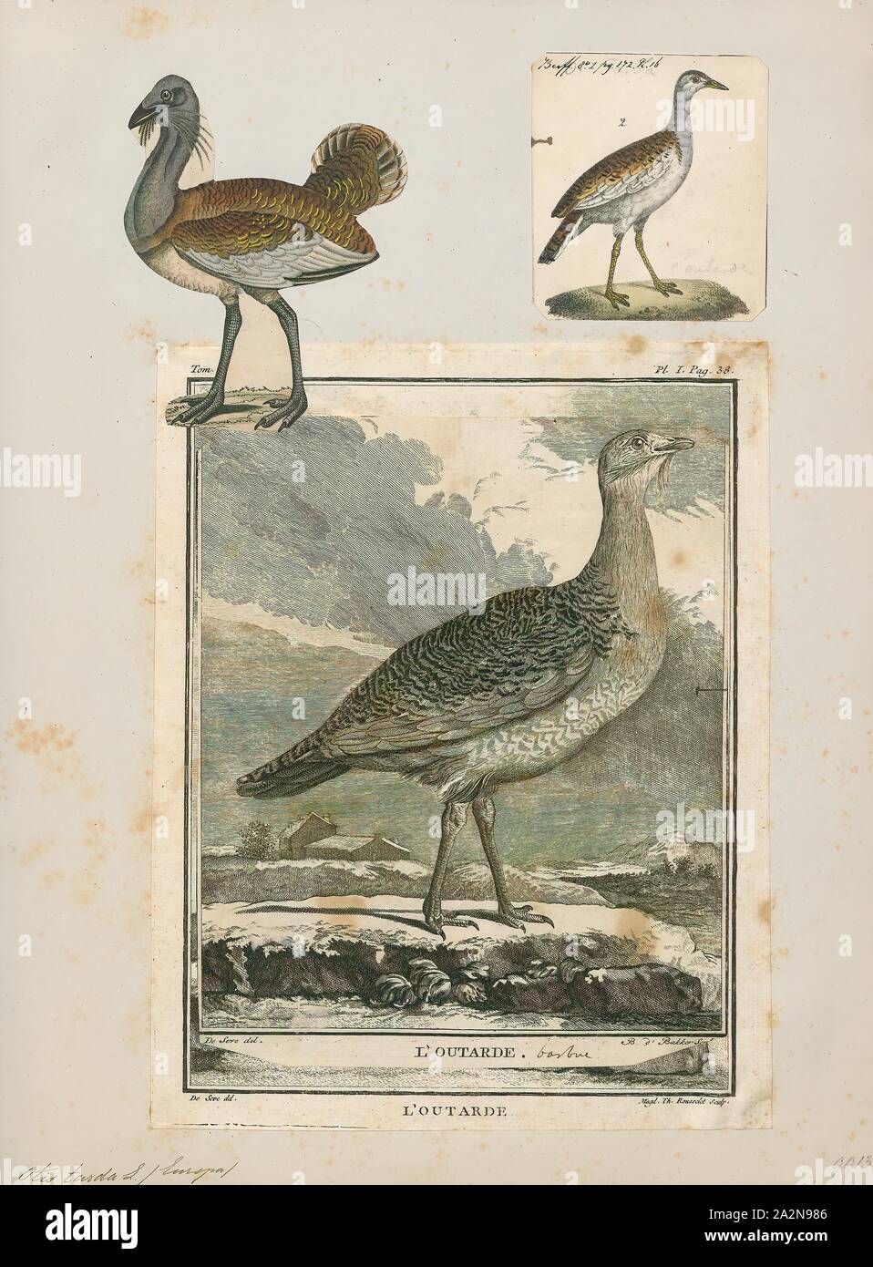 Asian populations migrate farther south hi-res stock photography and ...