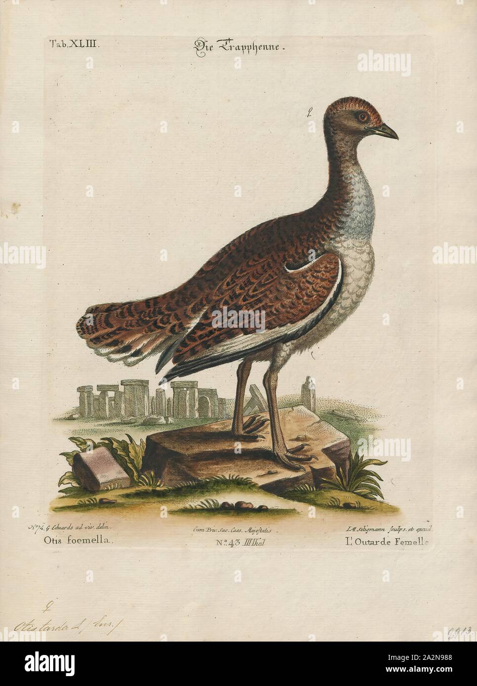 Asian populations migrate farther south hi-res stock photography and ...