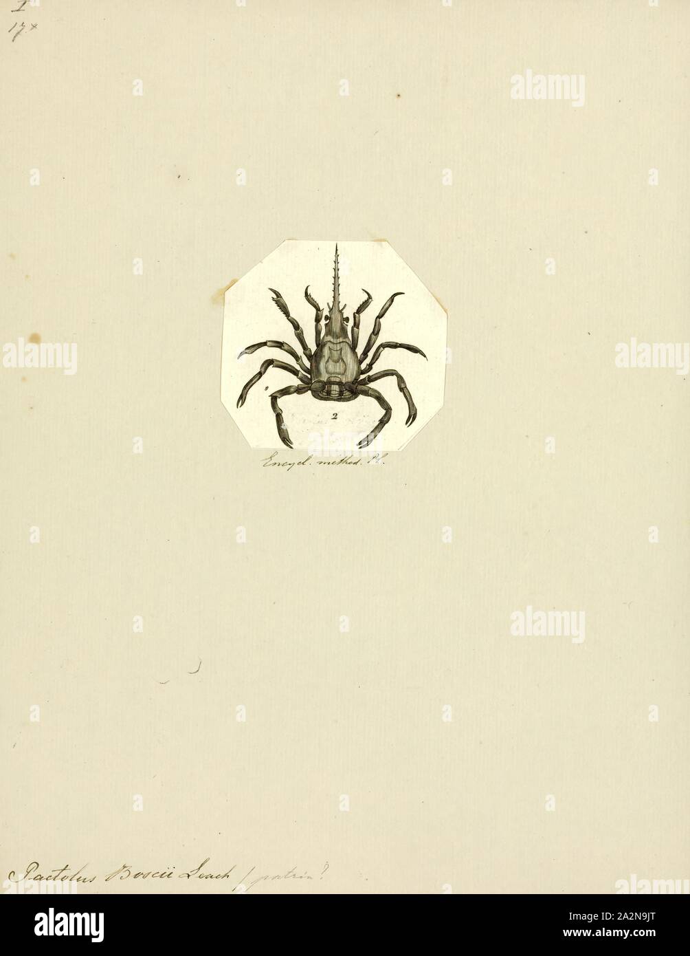 Pactolus High Resolution Stock Photography and Images - Alamy