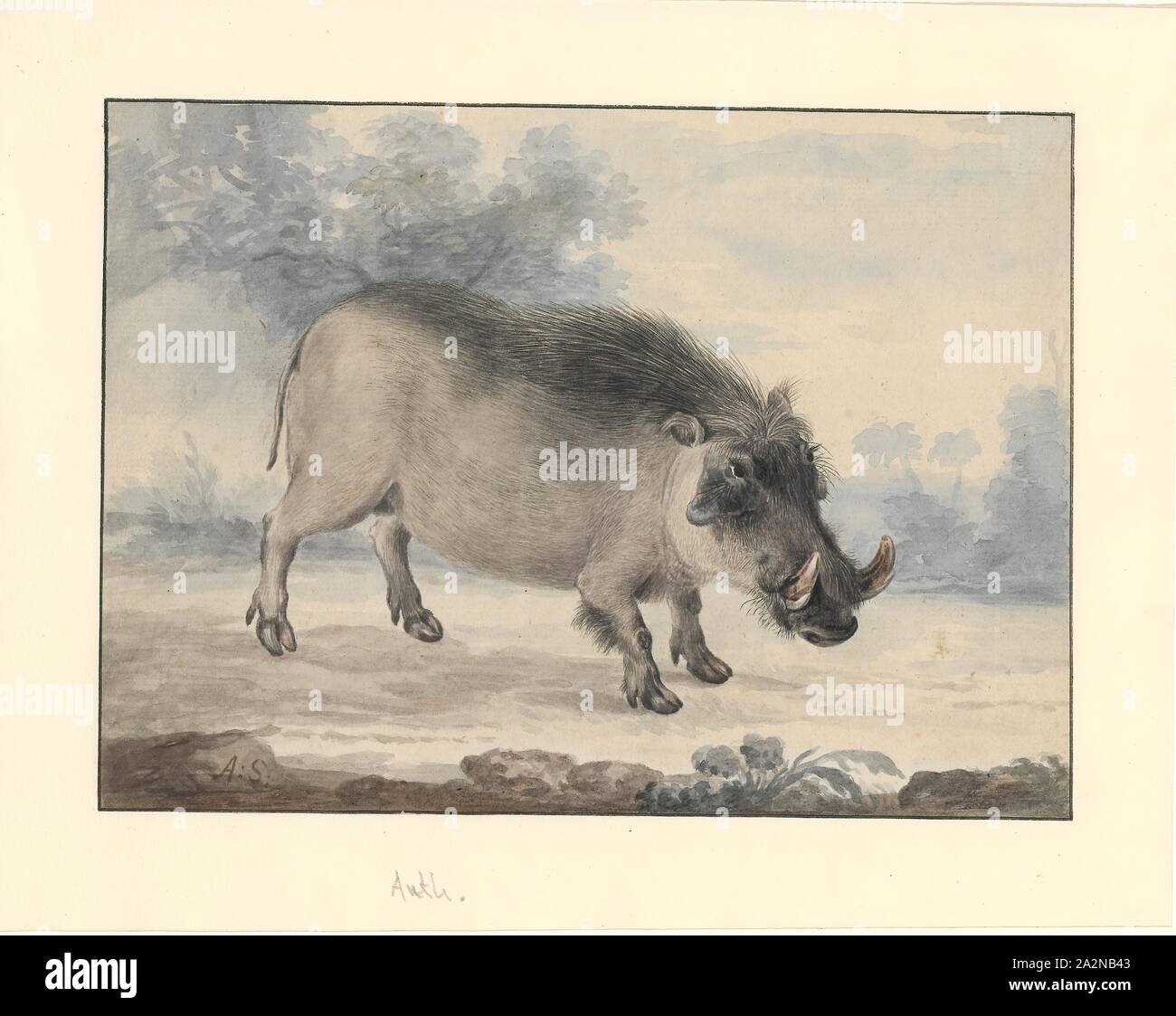 Even toed a hi-res stock photography and images - Alamy