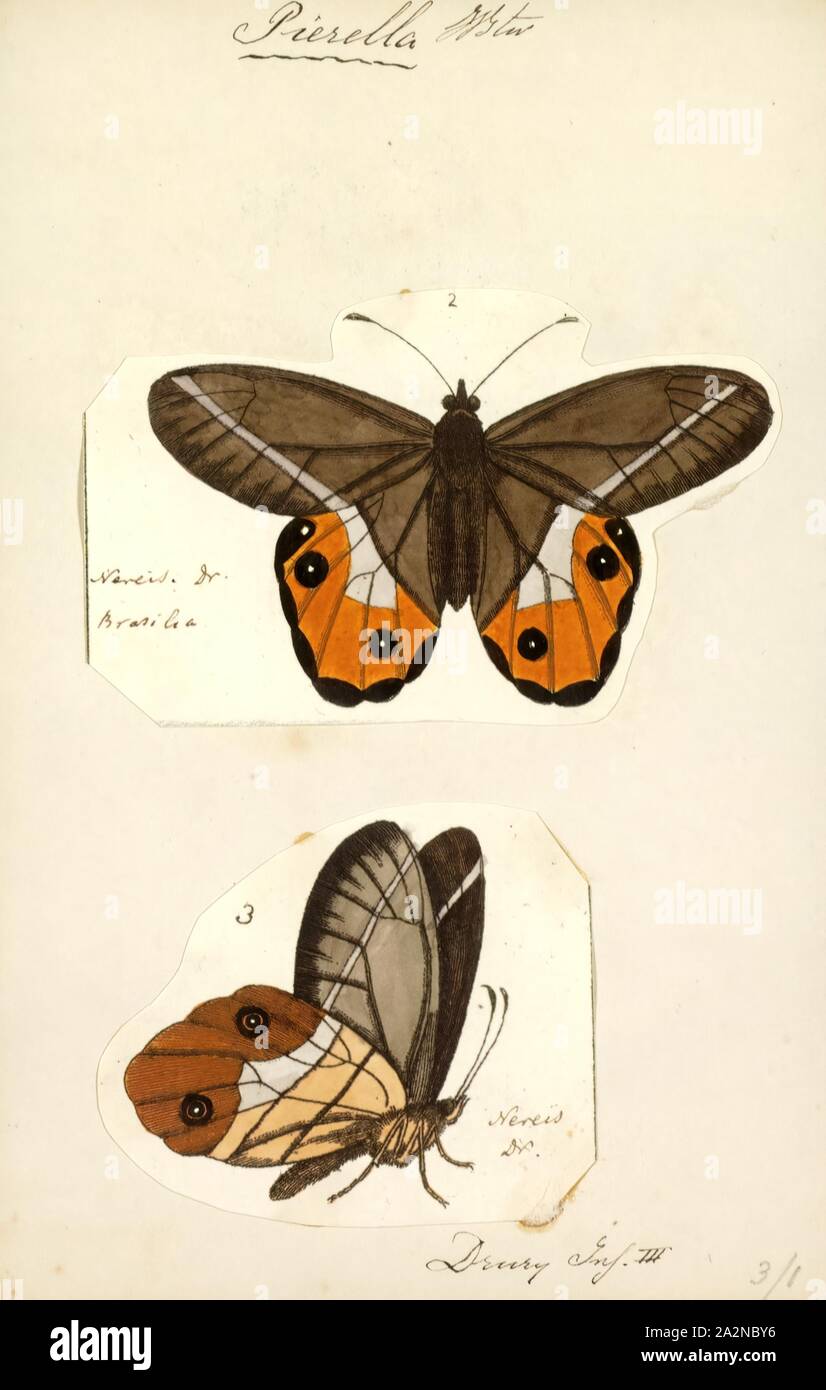 Diffraction grating hi-res stock photography and images - Alamy