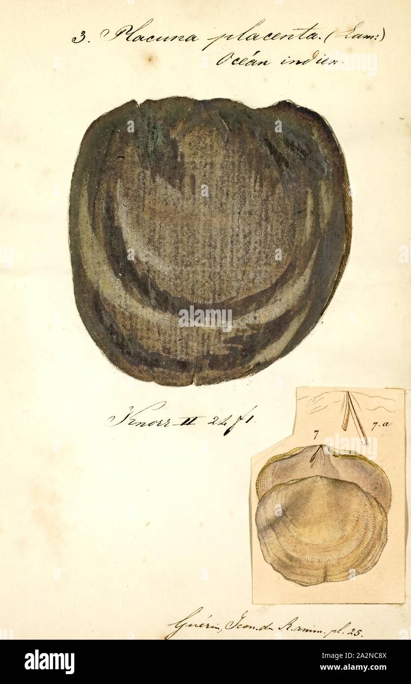 Capiz shell hi-res stock photography and images - Alamy