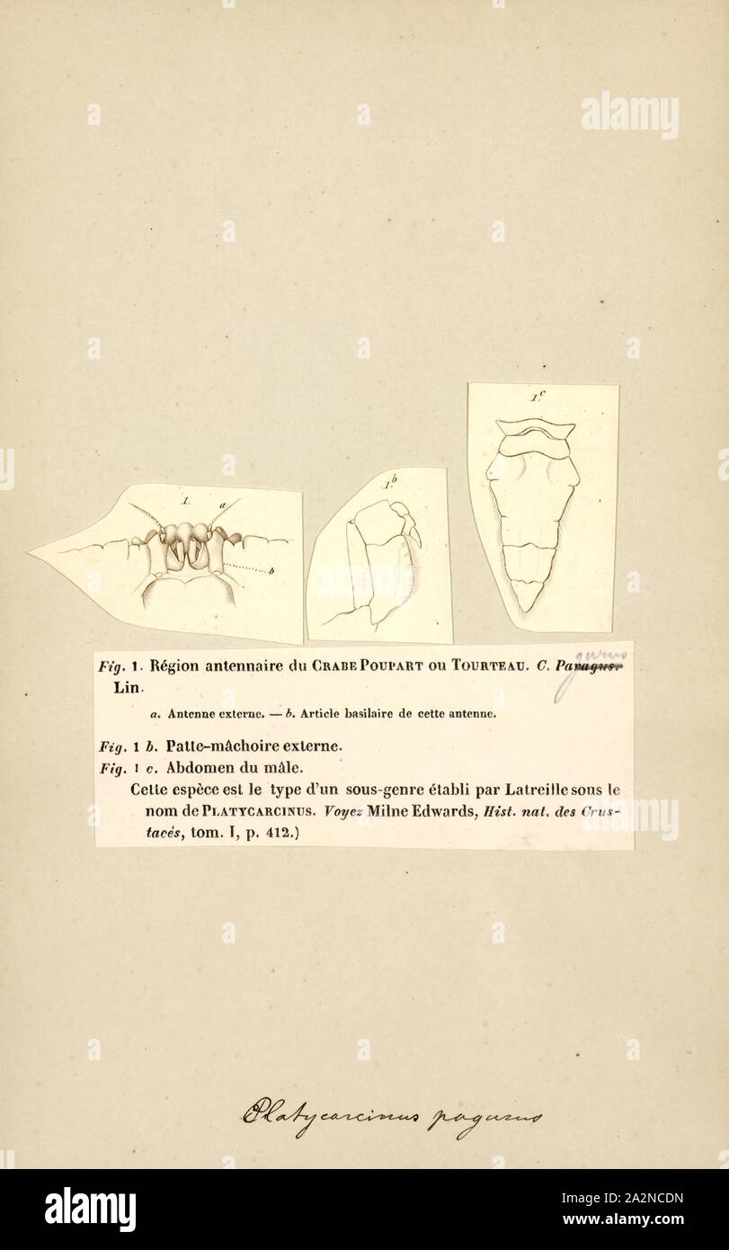 Centred subject hi-res stock photography and images - Alamy