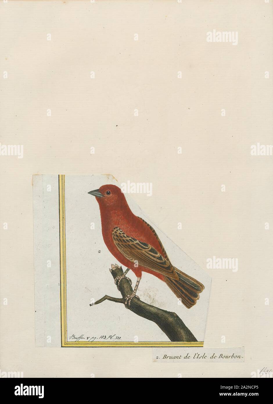 Bruante hi-res stock photography and images - Alamy