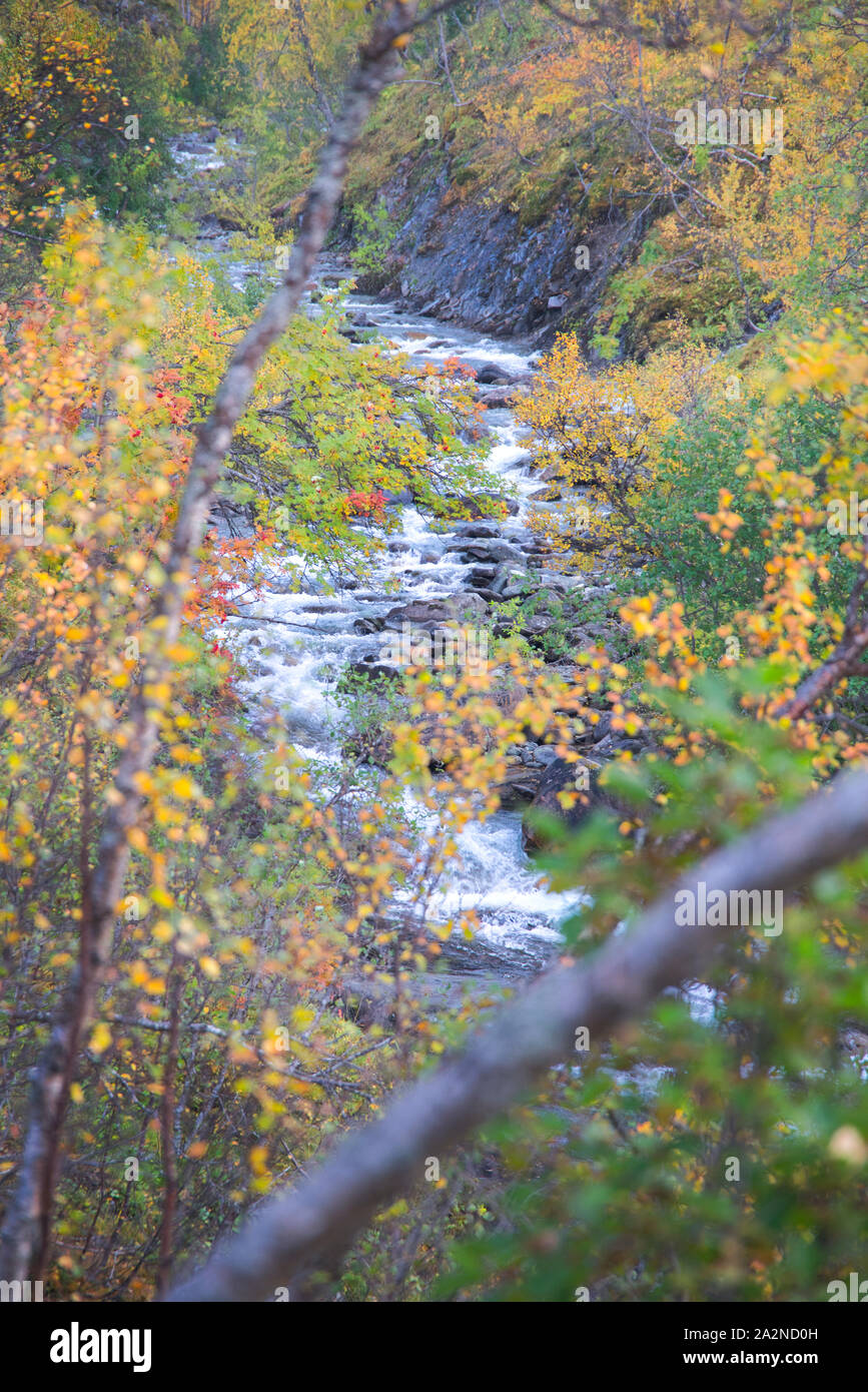 Arctic fall colours hi-res stock photography and images - Alamy
