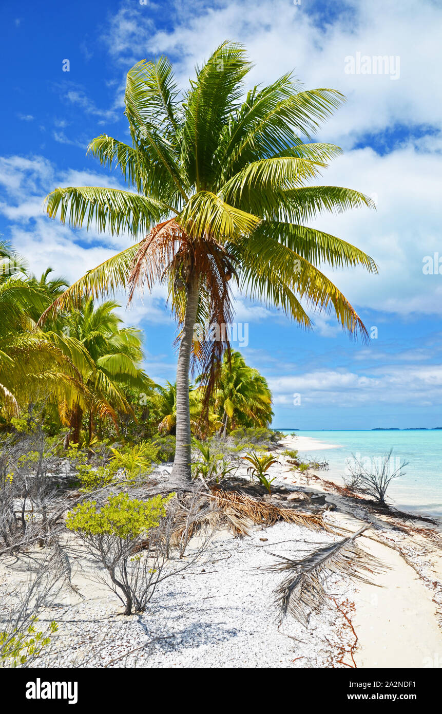 The anaa atoll hi-res stock photography and images - Alamy