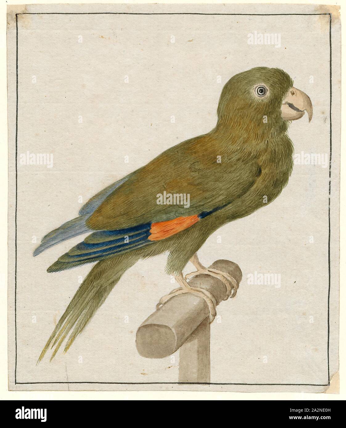 10 species hi-res stock photography and images - Alamy