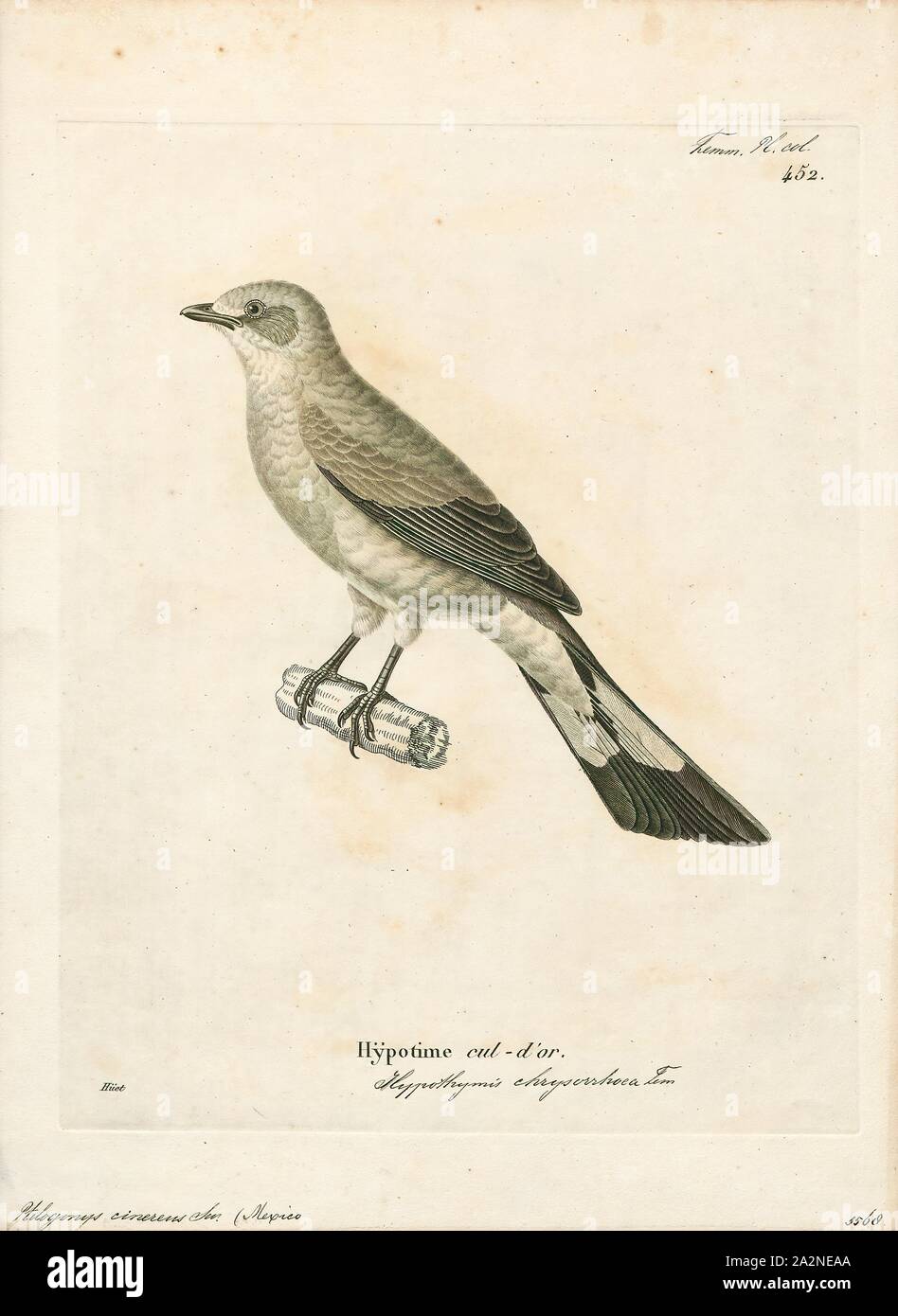 Adjacent scrub hi-res stock photography and images - Alamy