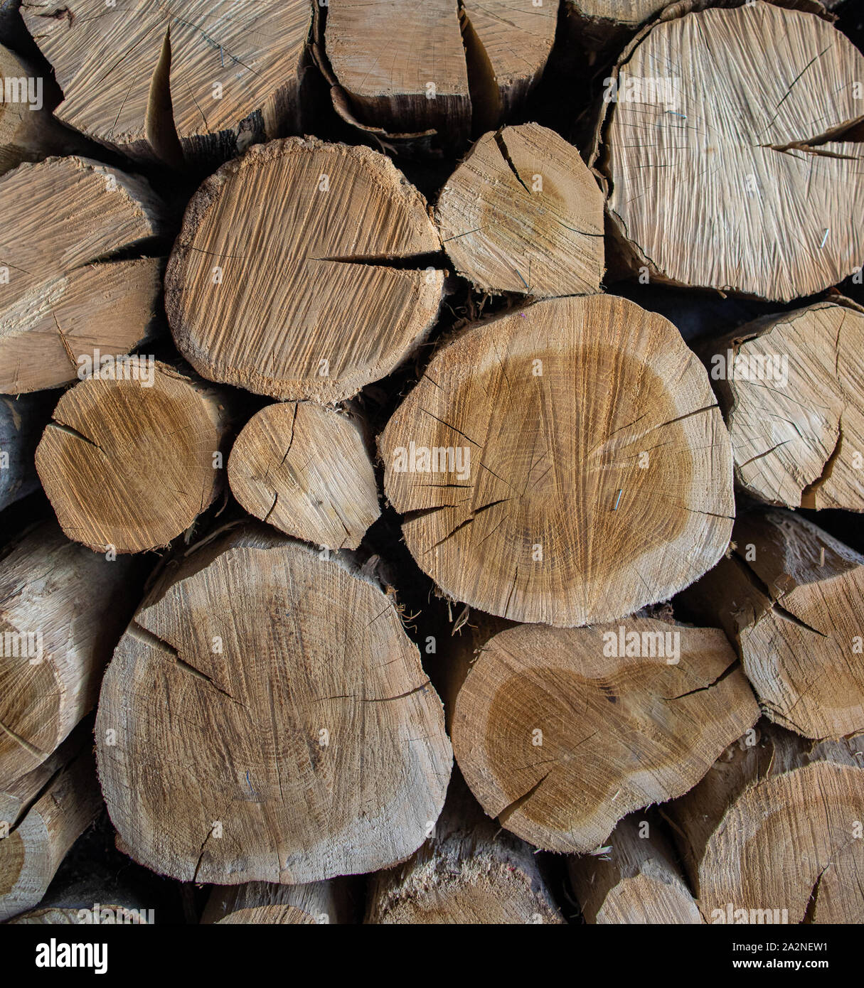 Wooden log slice background Stock Photo - Alamy