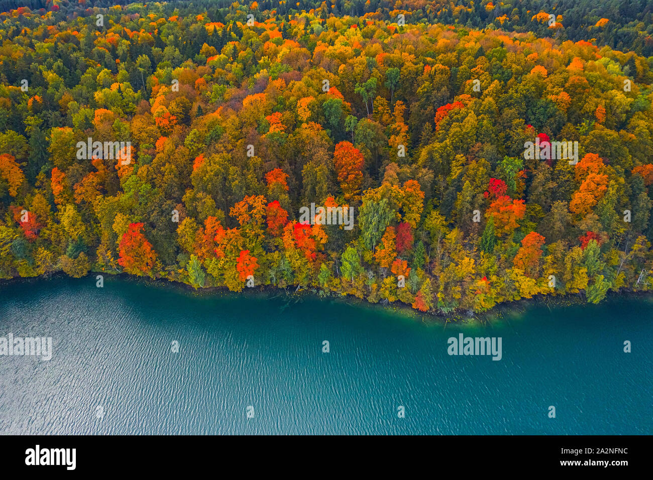 Aerial Drone view of colorful top of the forest at Autumn Stock Photo ...