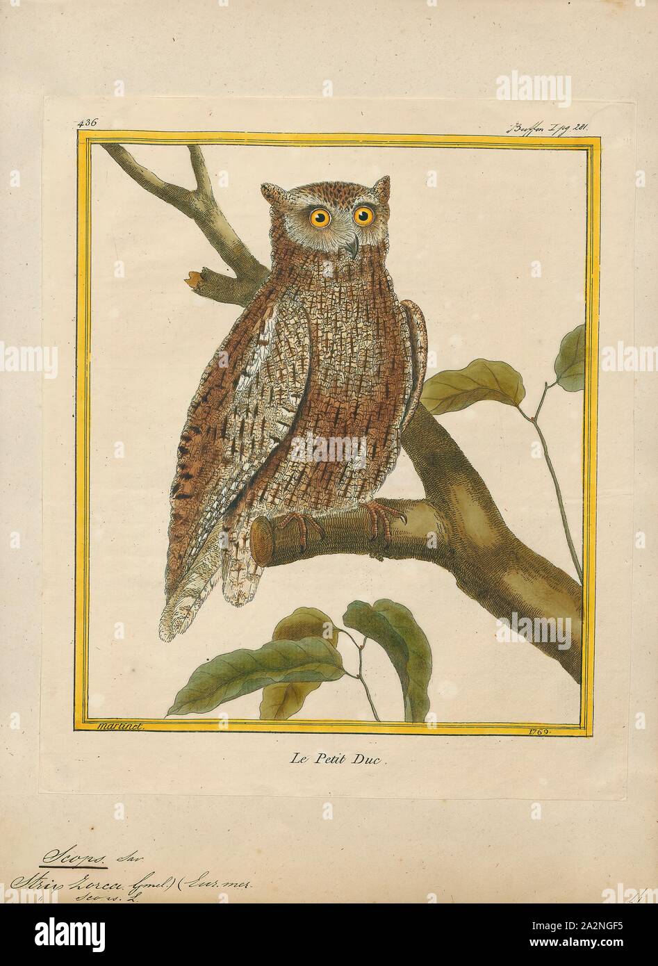 Scops zorca, Print, Scop, A scop was a poet as represented in Old ...