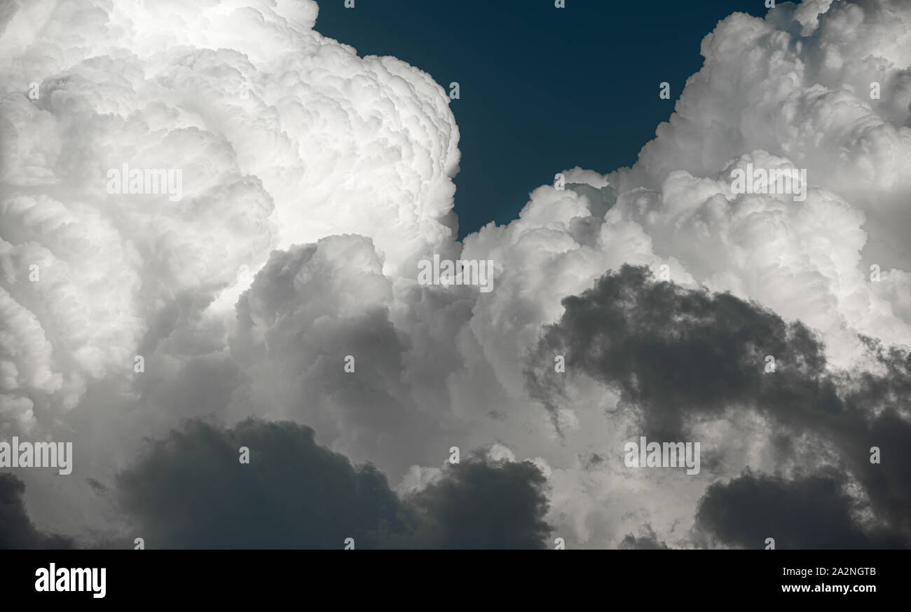 Cumulus clouds with well-defined texture and great contrast Stock Photo ...