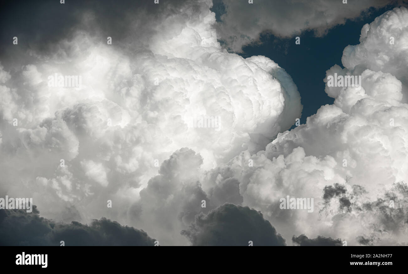 Cumulus clouds with well-defined texture and great contrast Stock Photo ...