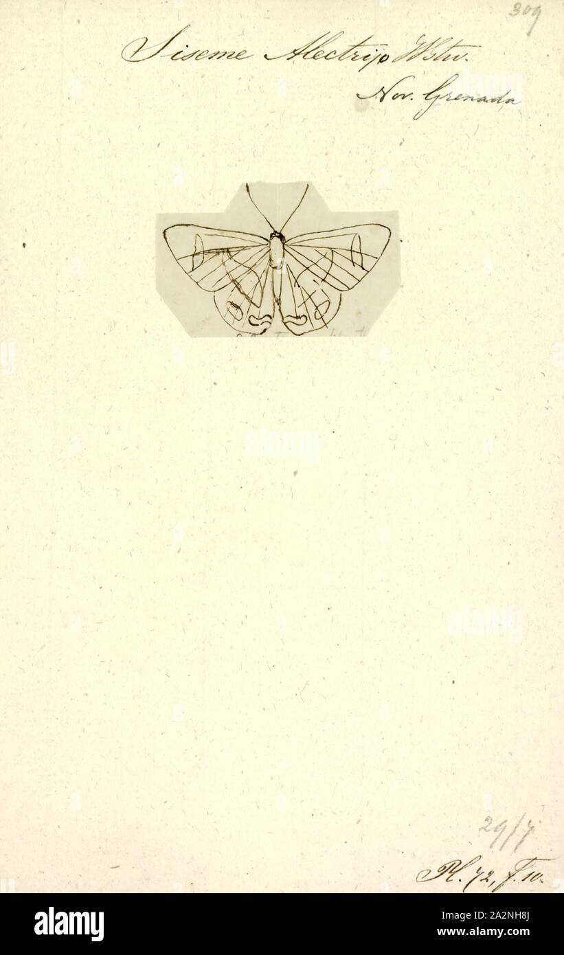 Siseme hi-res stock photography and images - Alamy