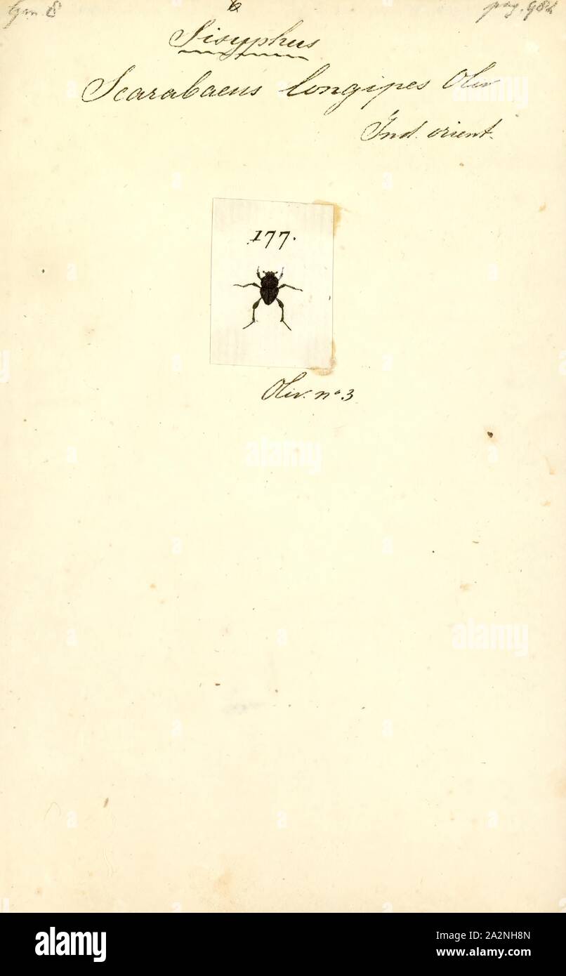 Sisyphus hi-res stock photography and images - Alamy