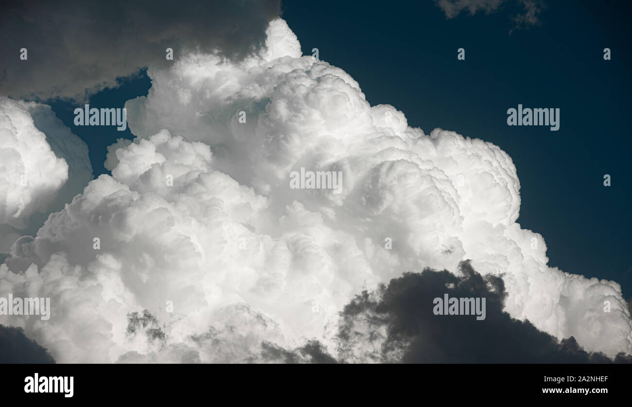 Cumulus clouds with well-defined texture and great contrast Stock Photo ...