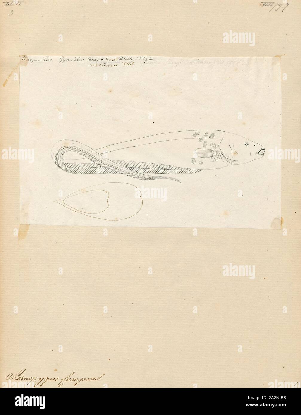 Essentially static waters hi-res stock photography and images - Alamy