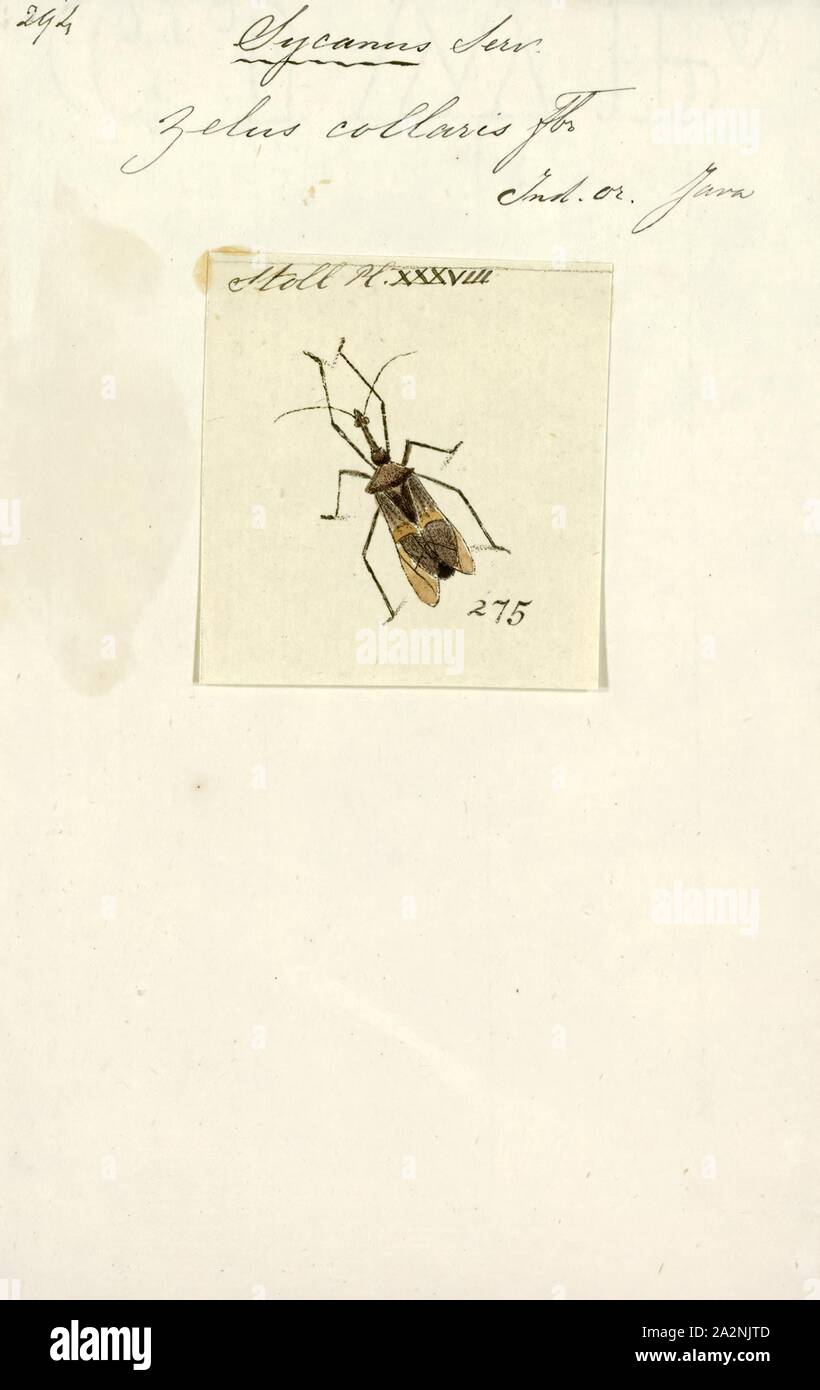 Many species hi-res stock photography and images - Alamy