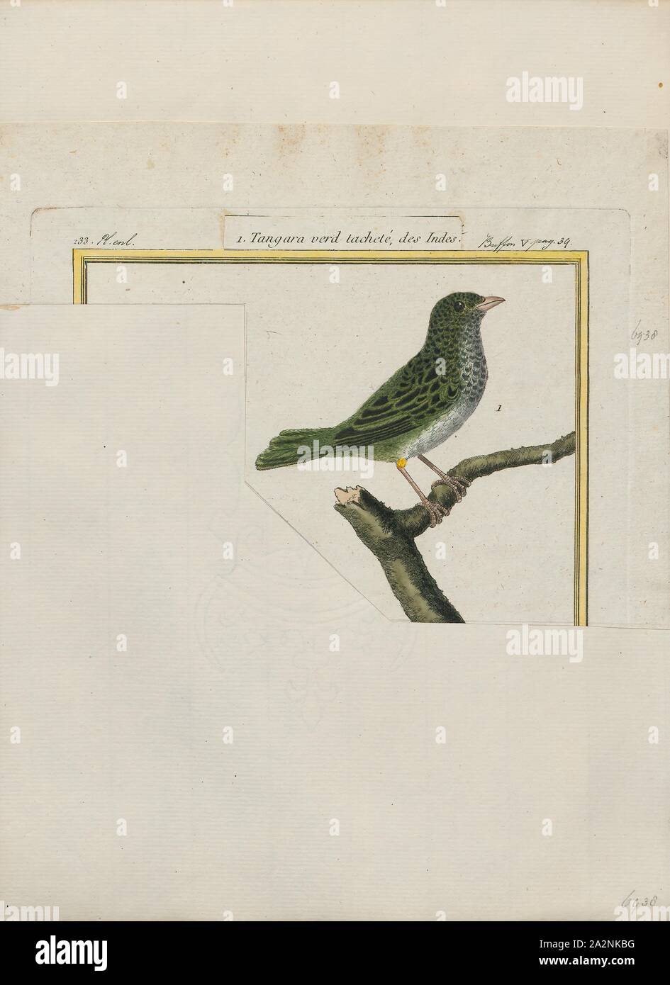 Suriname ecuador hi-res stock photography and images - Alamy