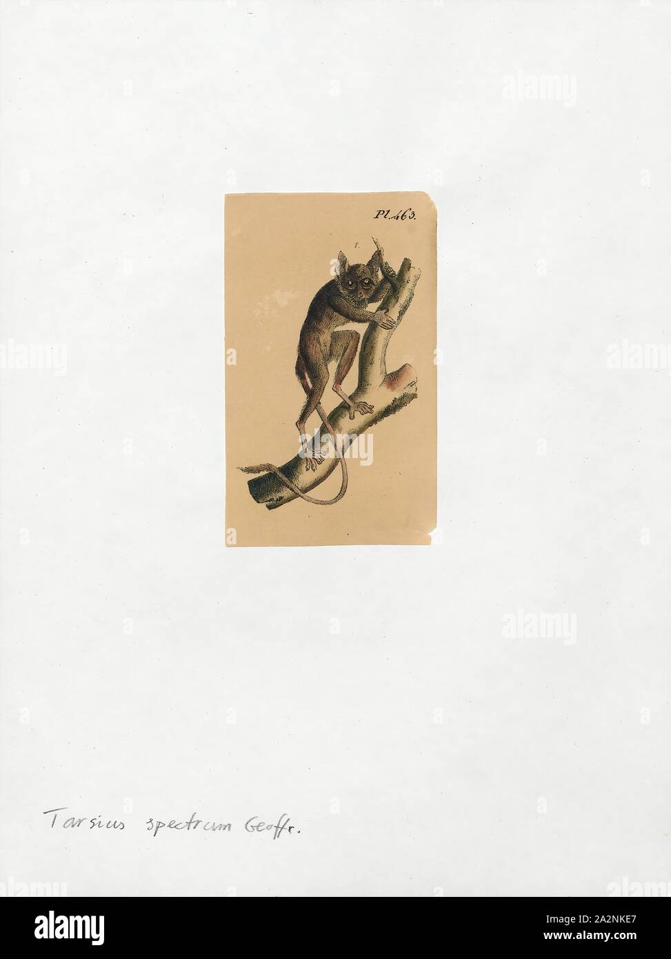 Southwestern sulawesi hi-res stock photography and images - Alamy