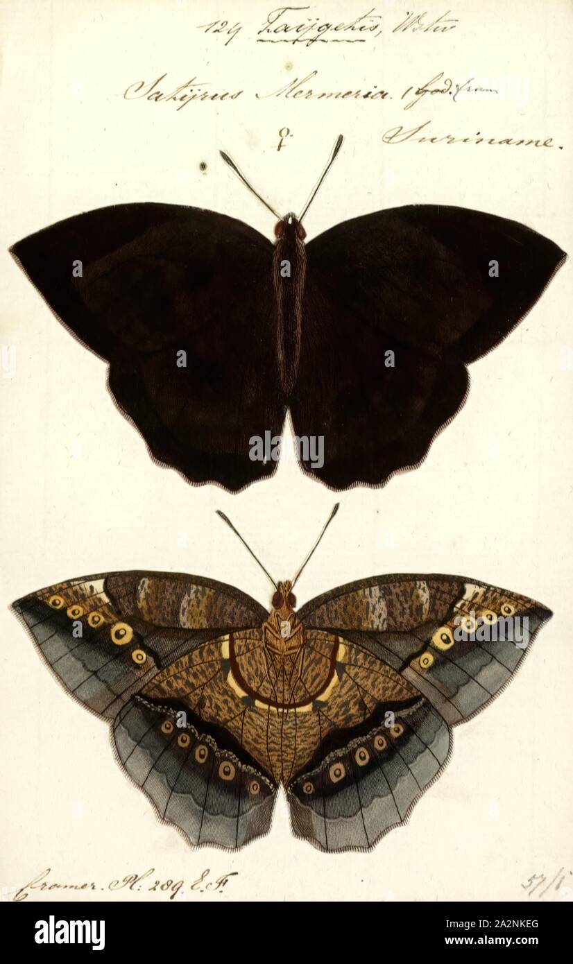 Realm hi-res stock photography and images - Alamy