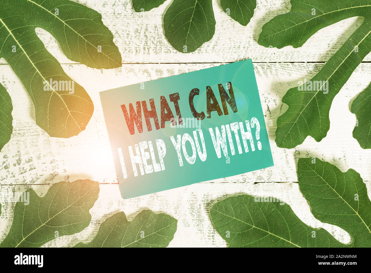 Word writing text What Can I Help You With Question. Business photo ...