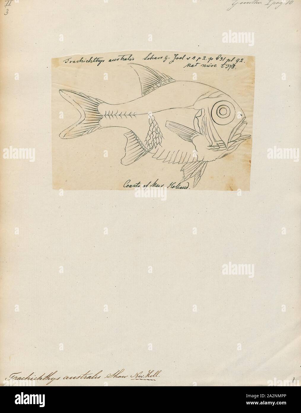 15 0 centimetres hi-res stock photography and images - Alamy