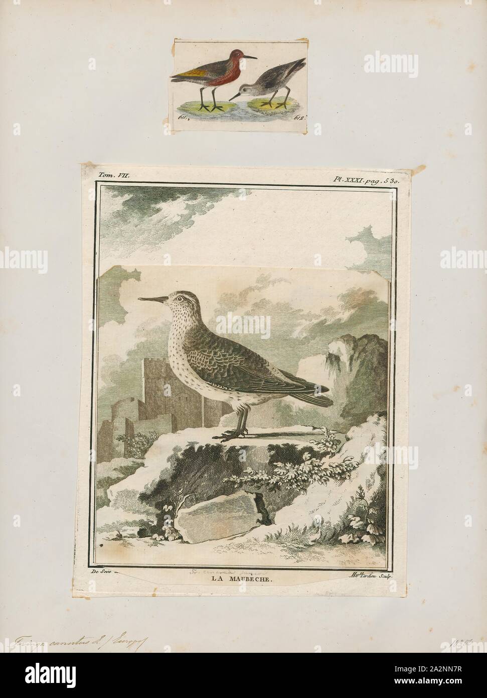 Cordillera canada hi-res stock photography and images - Alamy