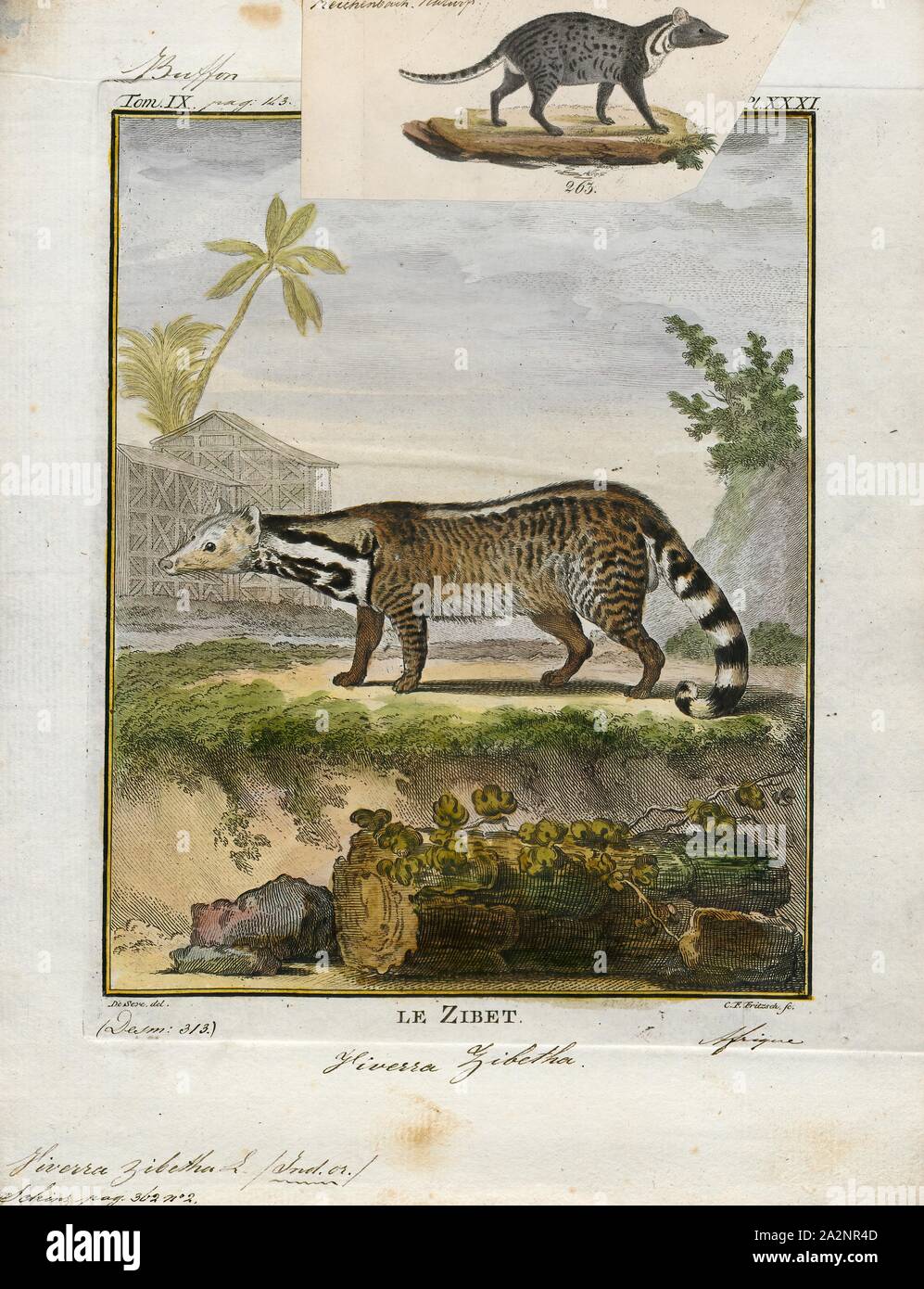 On iucn red list hi-res stock photography and images - Alamy