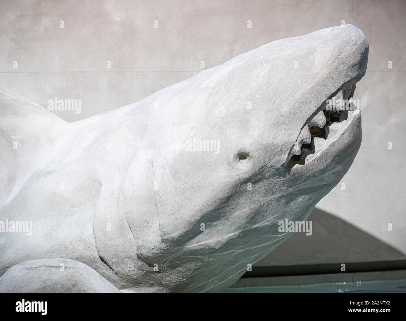 Shark sculpture part of the Kara Walker Fons Americanus art work in the ...