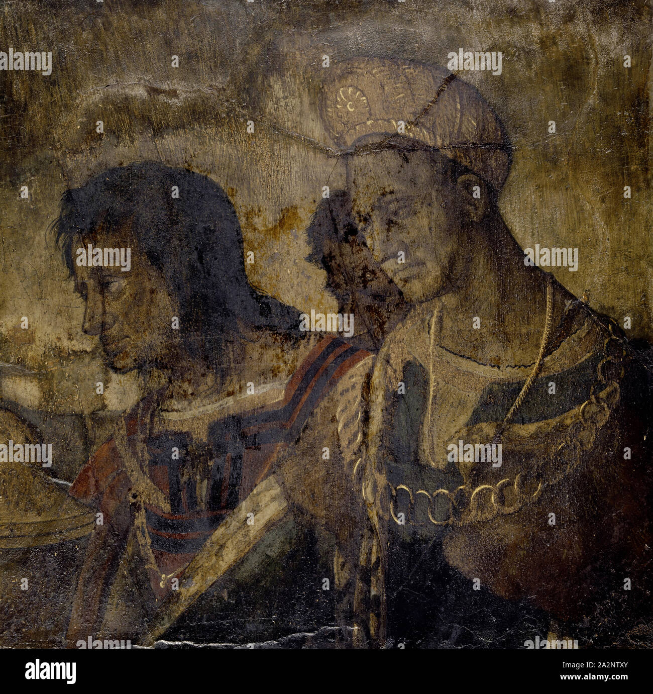 Curius dentatus hi-res stock photography and images - Alamy