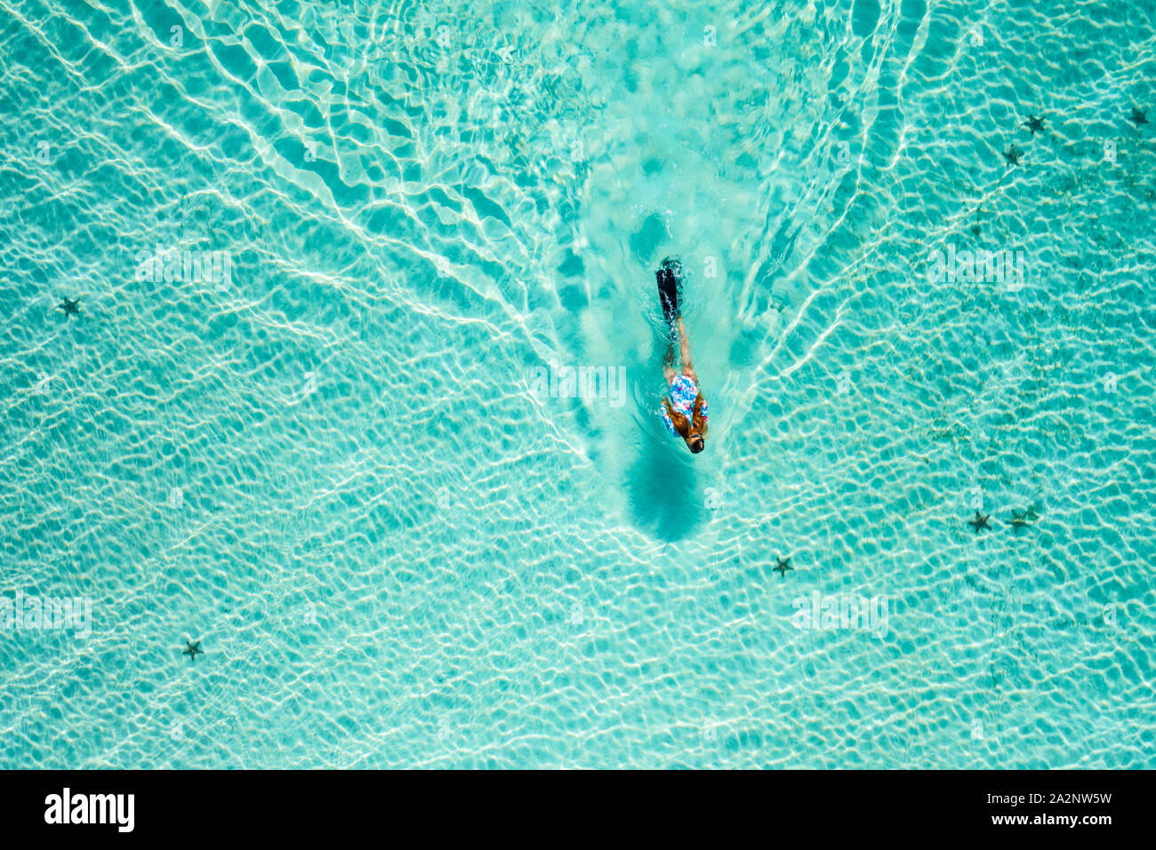 Girl top down view hi-res stock photography and images - Alamy