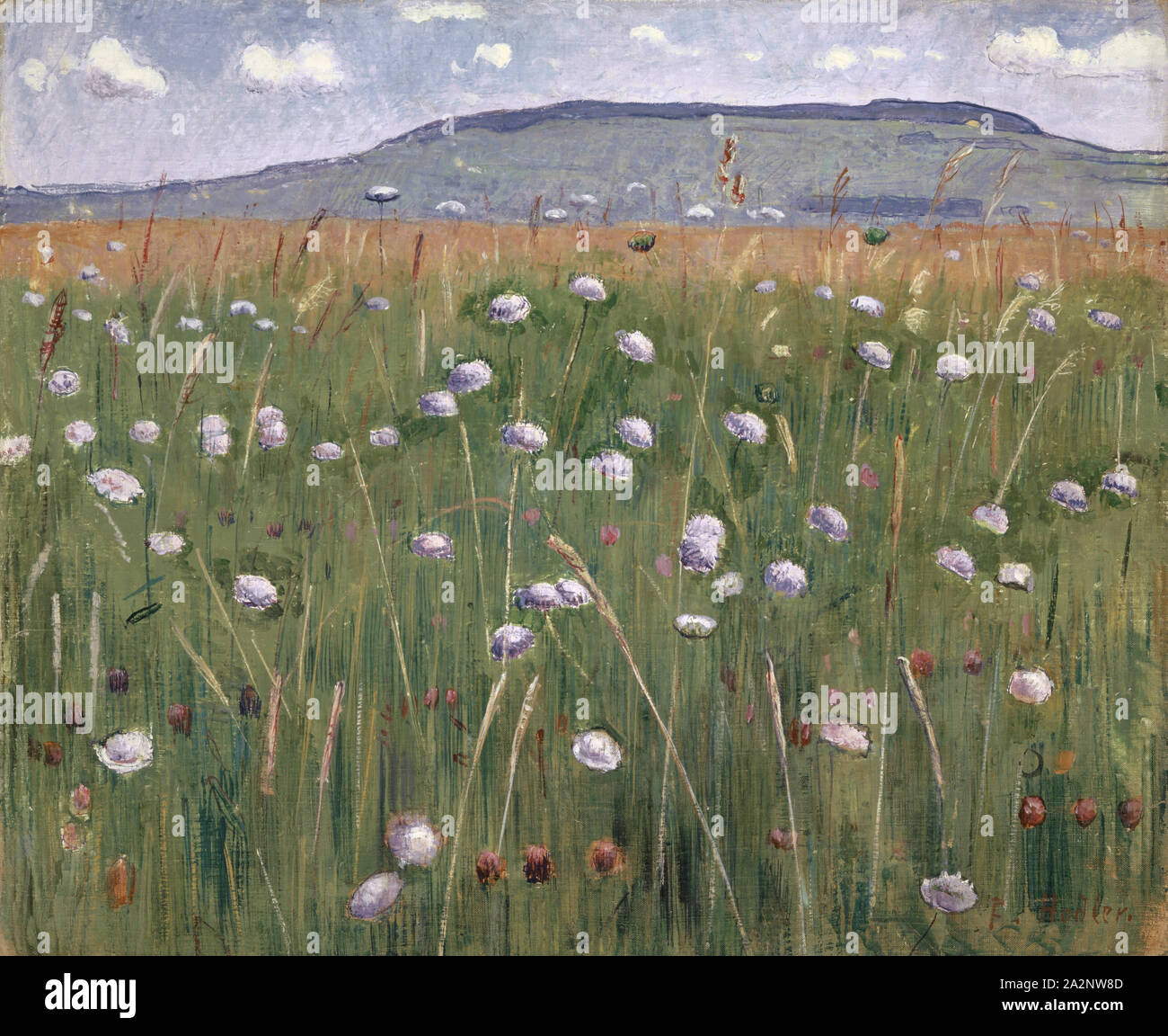 38 2 46 3 cm hi-res stock photography and images - Alamy