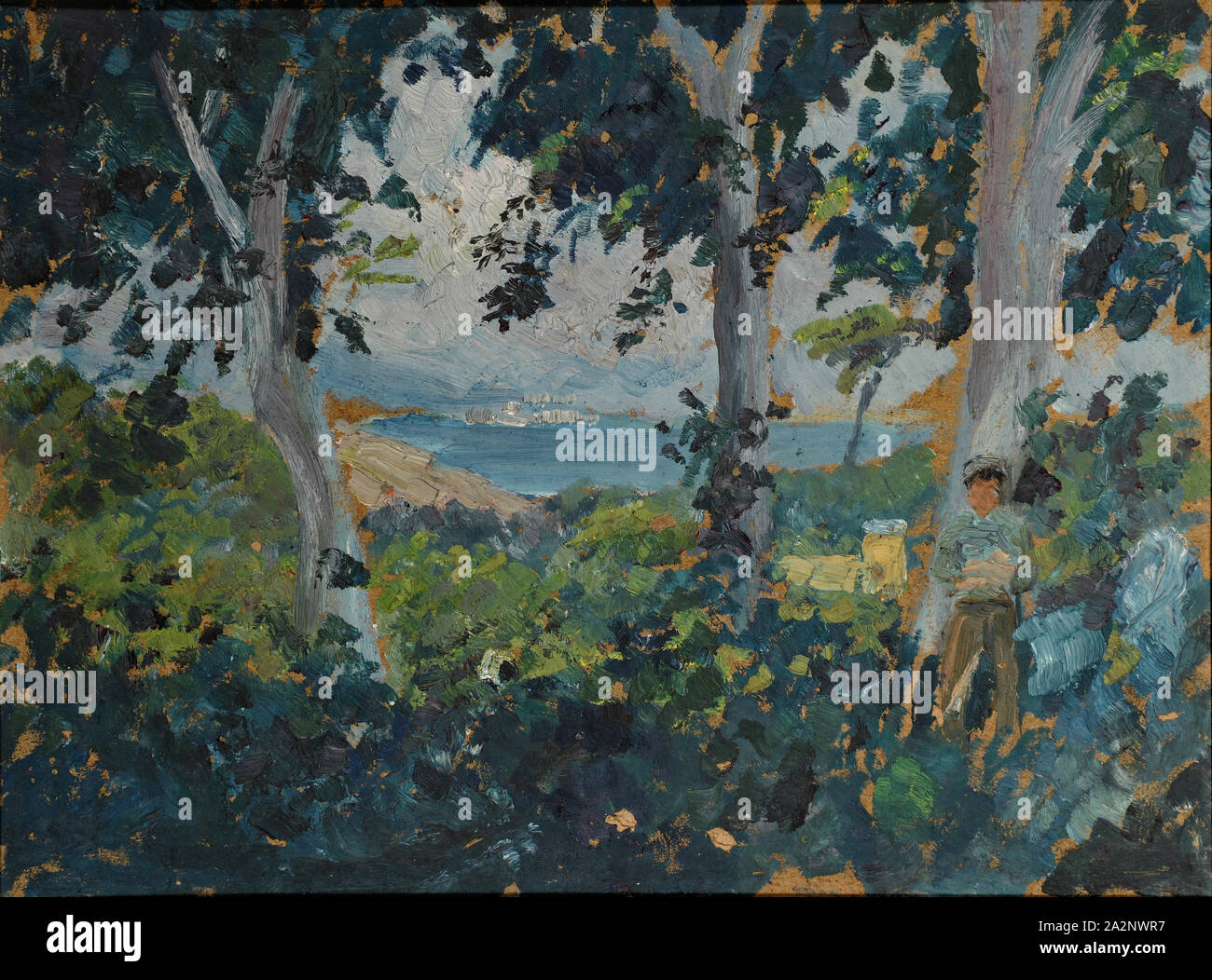 View through a grove of southern bay, oil on cardboard, 26 x 34.5 cm ...