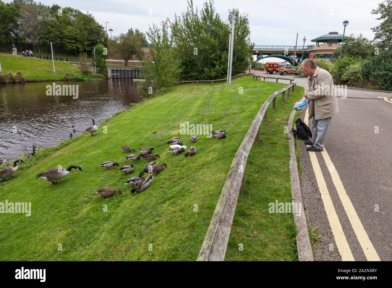 The river tees barrage hi-res stock photography and images - Alamy