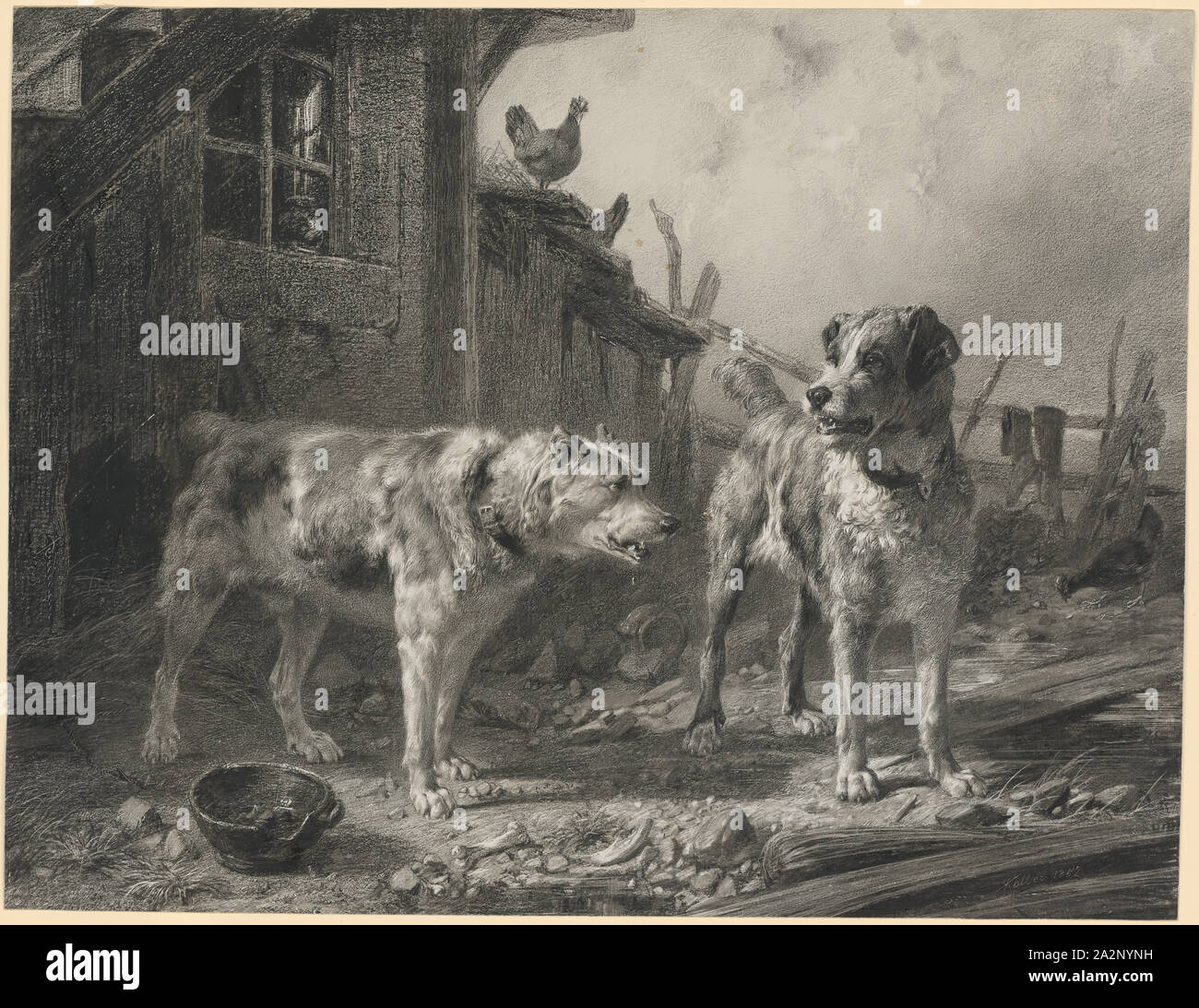 31 9 X 40 5 Cm High Resolution Stock Photography and Images - Alamy